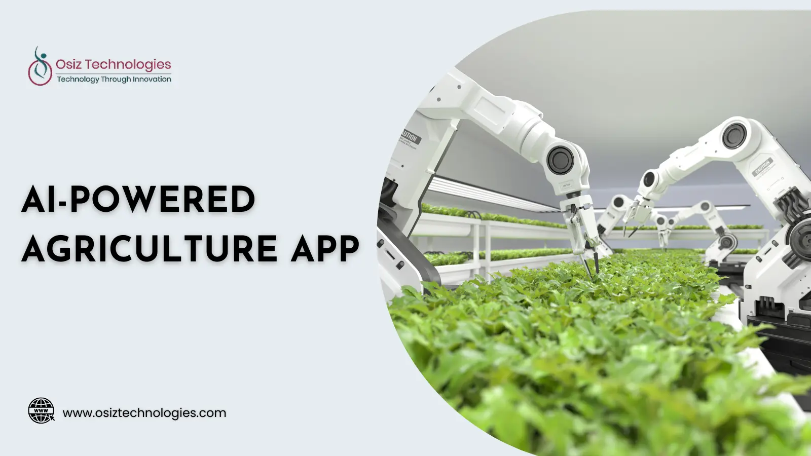 AI In Agriculture Portfolio | Osiz