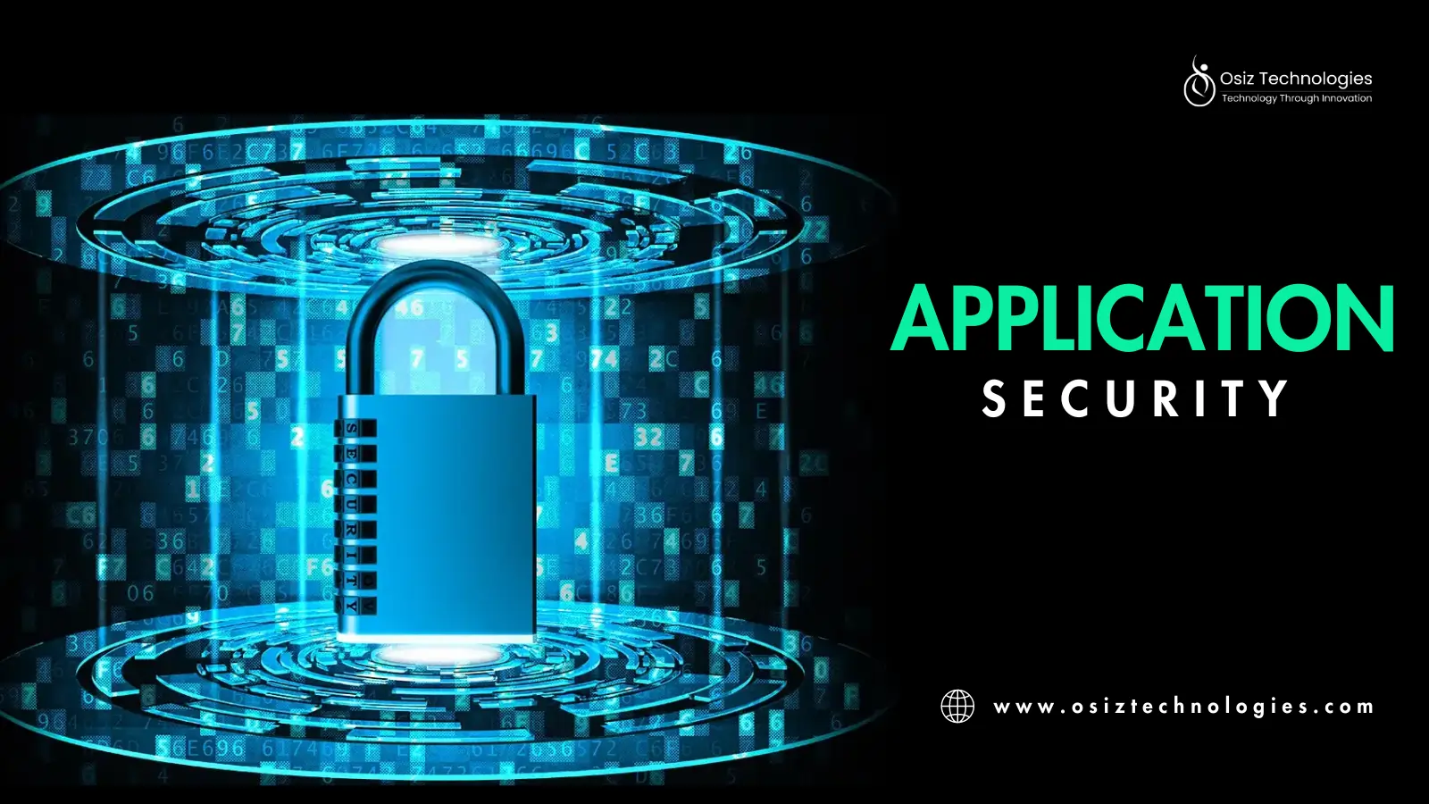 Application Security Portfolio | Osiz Technologies